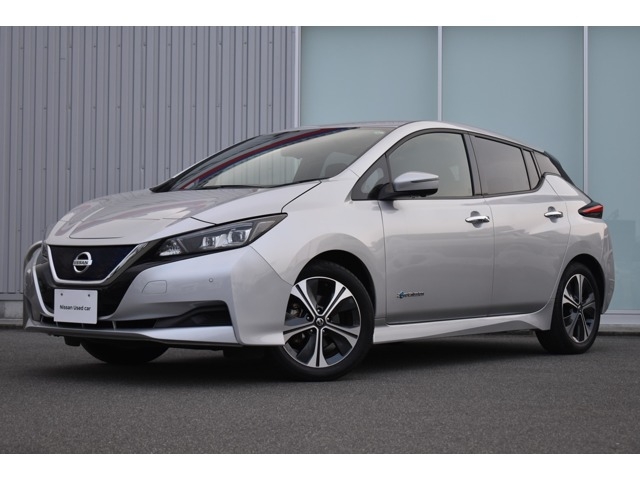 2021 Nissan Leaf ZAA-ZE1 2WD - Car Price $12,273
