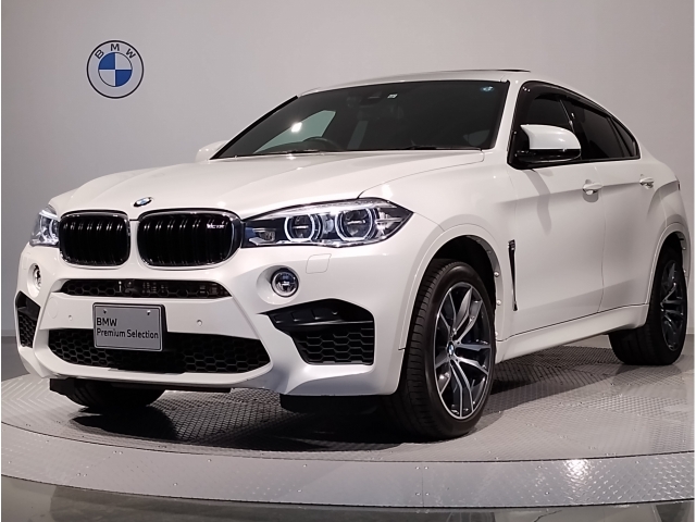 2017 Bmw X6 ABA-KT44 4WD - Car Price $51,139