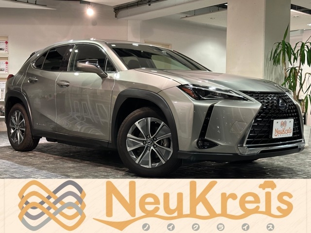 2021 Lexus Ux ZAA-KMA10 2WD - Car Price $20,448