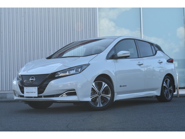 2022 Nissan Leaf ZAA-ZE1 2WD - Car Price $13,879