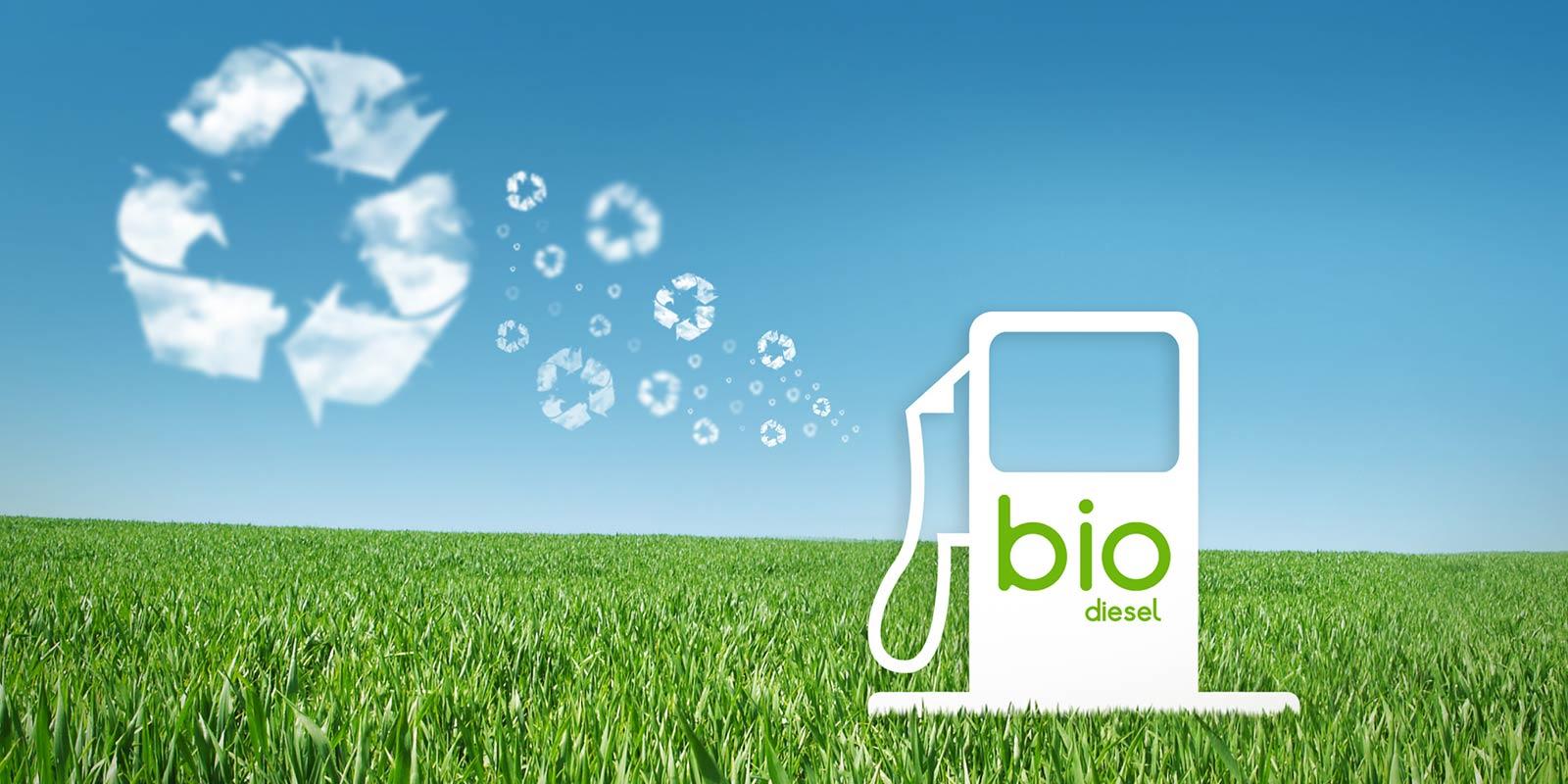 The Pros and Cons of Biodiesel Energy - CAR FROM JAPAN